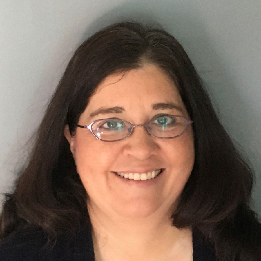 Therapist in Indianapolis, Indiana, Julie Collins, LMHC, MA