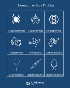 Why We Love to Be Scared: Understanding Fear, Phobias, and the ...